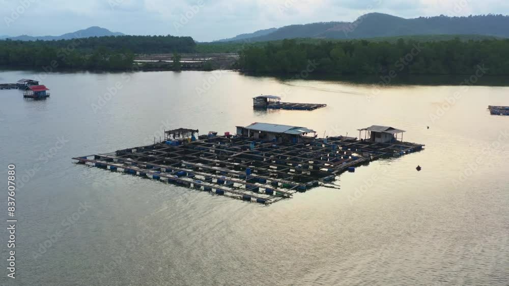 Traditional floating fish farms on calm waters, wooden structures with ...