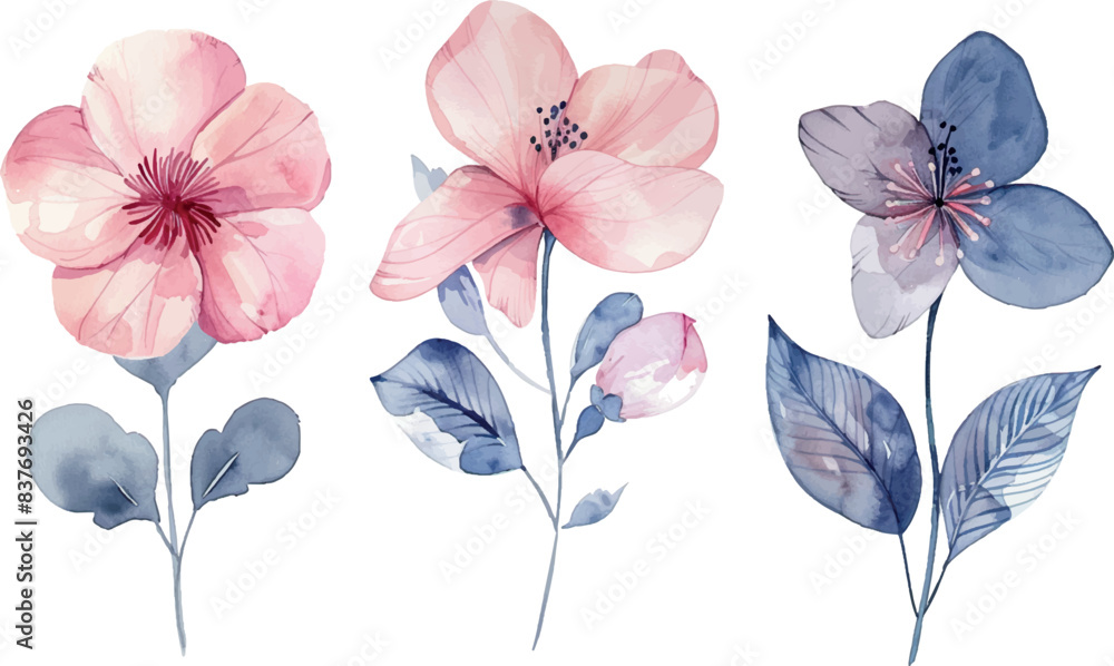 Watercolor illustration, clipart, set of pink flowers, background for ...