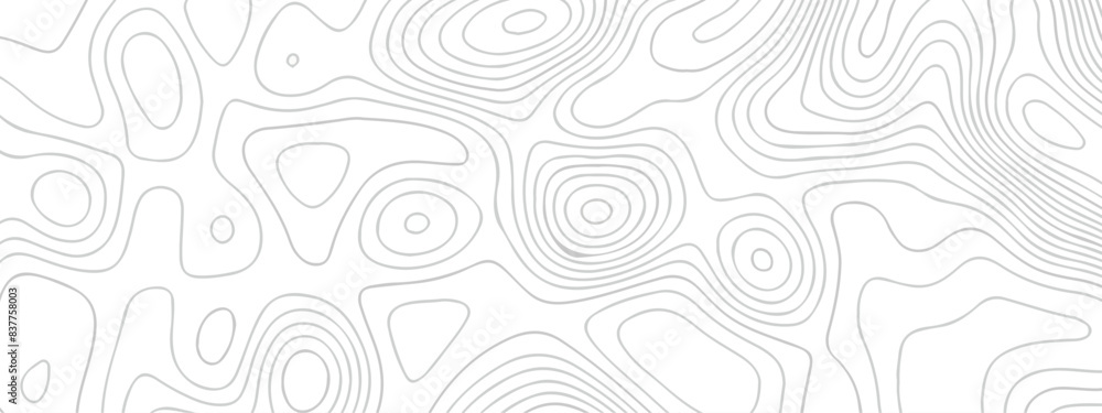 Abstract topographic White wave paper curved reliefs. Topographic map ...