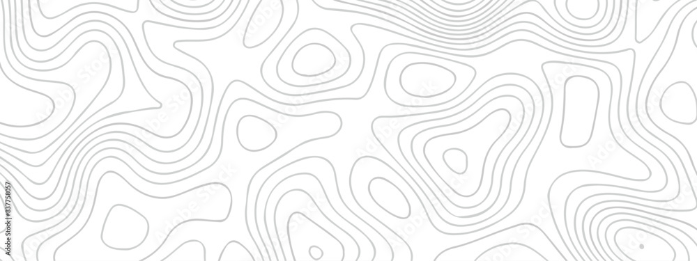 Abstract topographic White wave paper curved reliefs. Topographic map ...