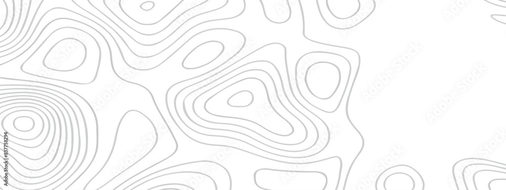 Abstract topographic White wave paper curved reliefs. Topographic map ...