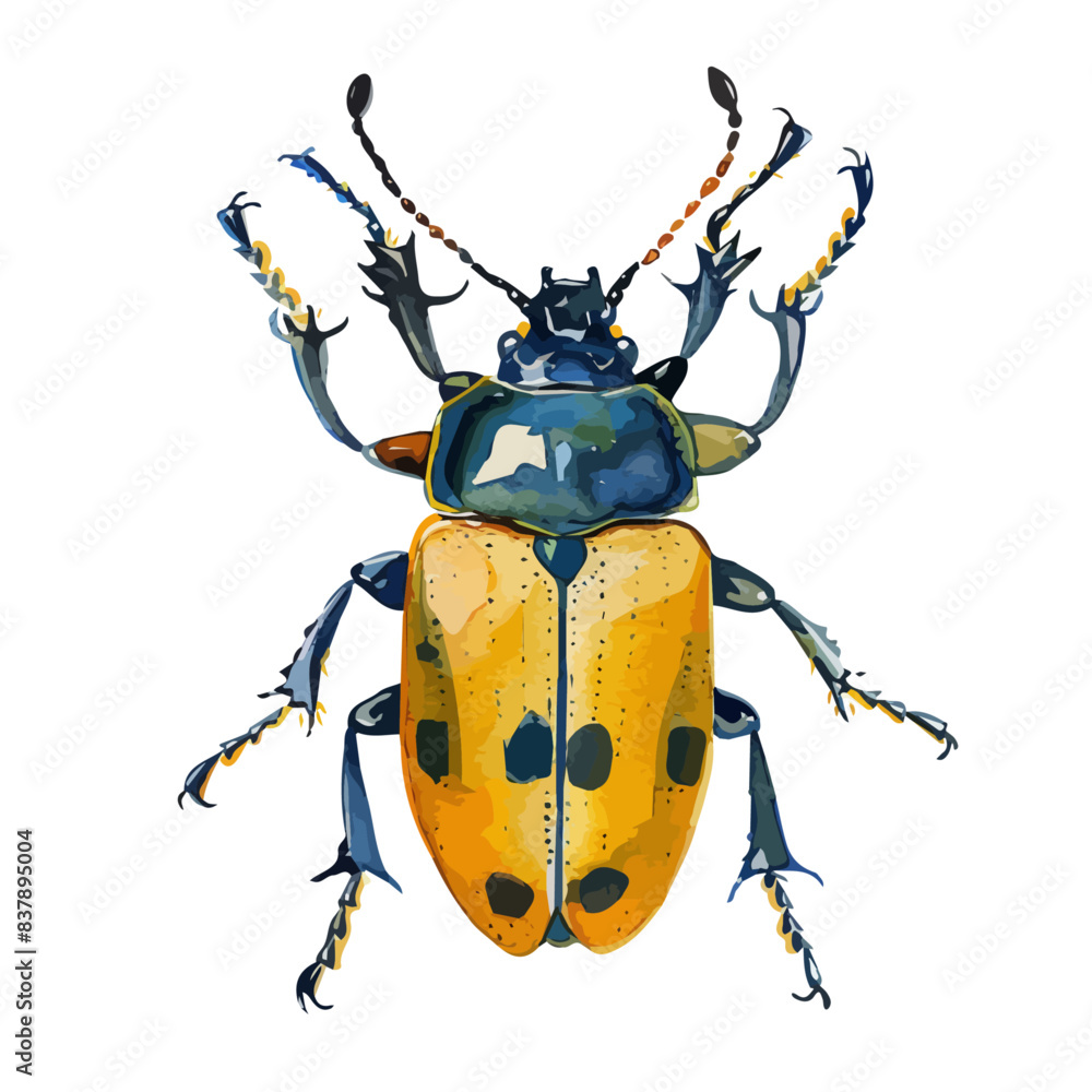 Watercolor vector of a colorful Beetle, isolated on a white background ...