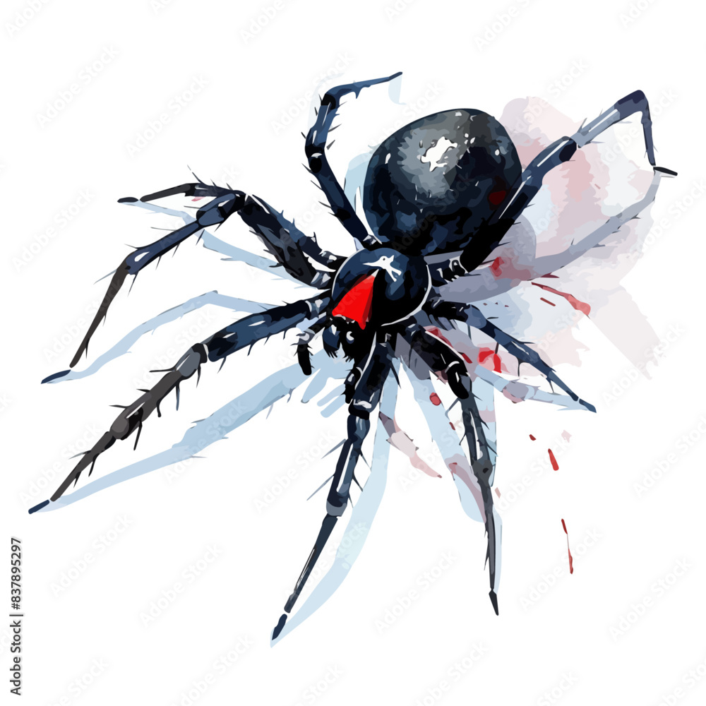 Watercolor clipart vector of a black widow spider, isolated on a white ...