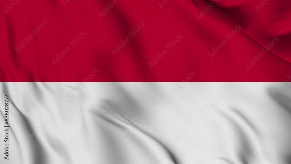 Monaco flag animation for background in 4k. Happy independence day ...