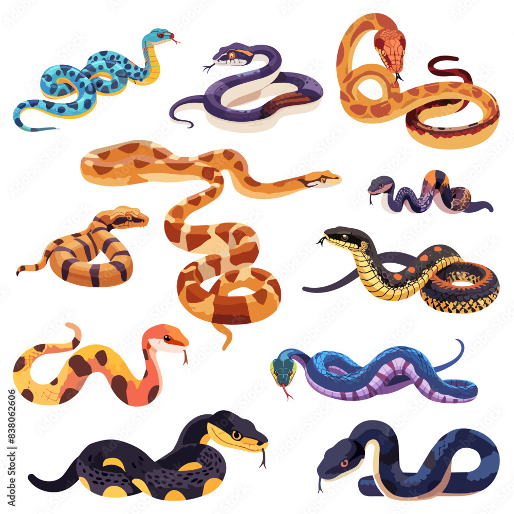 Snake types set. Reptiles crawling animals python taipan rattlesnake ...