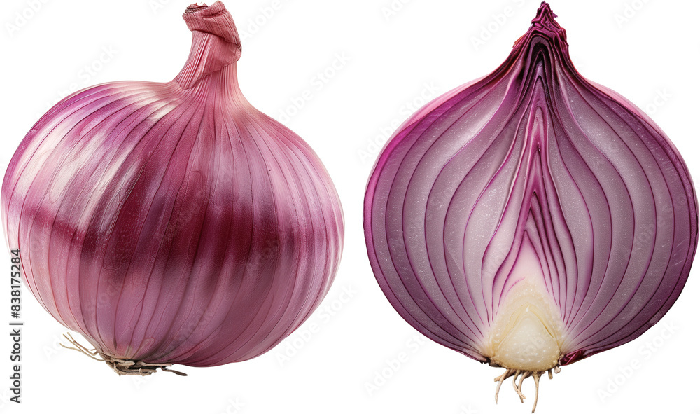 shallots Onion isolated on transparent background, shallots png no ...
