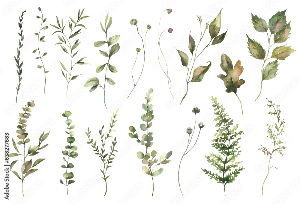 Watercolor floral illustration set - green eucalyptus leaf branches ...