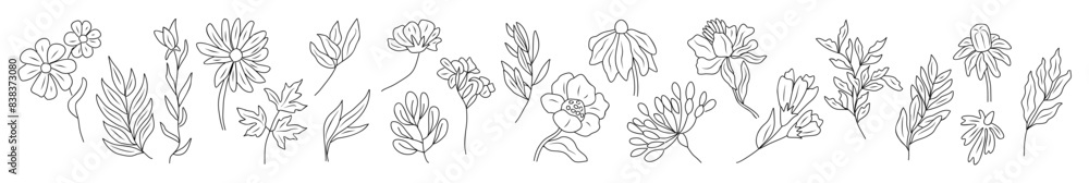 Set of tiny wild flowers and plants line art vector botanical ...