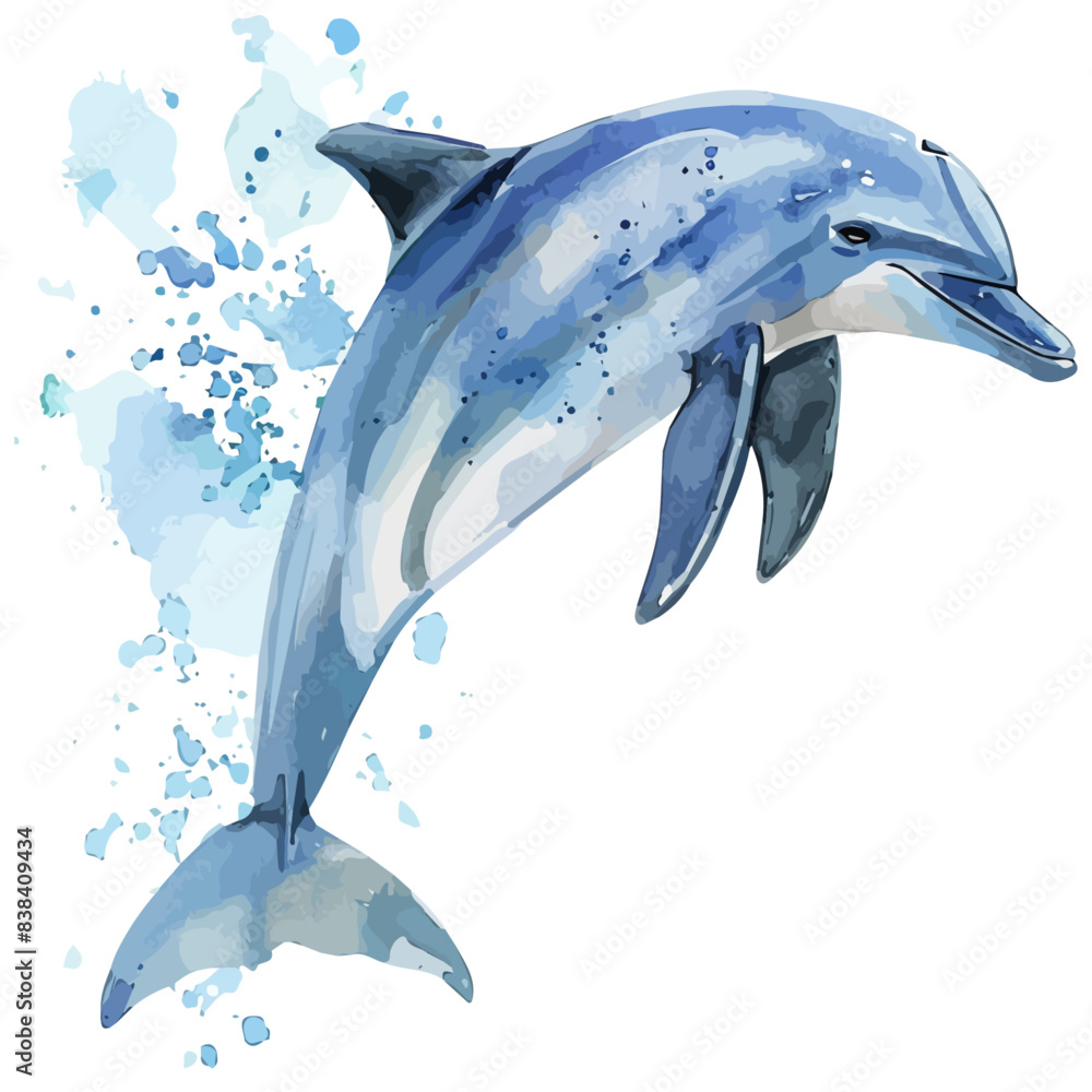 Watercolor Vector painting of a dolphin, isolated on a white background ...