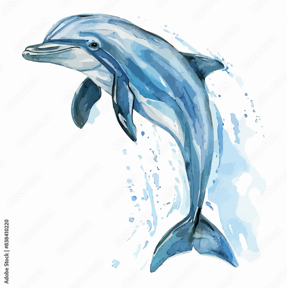 Watercolor painting vector of a dolphin, isolated on a white background ...