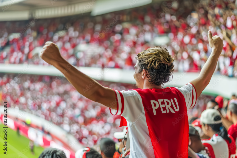 Peruvian football soccer fans in a stadium supporting the national team ...