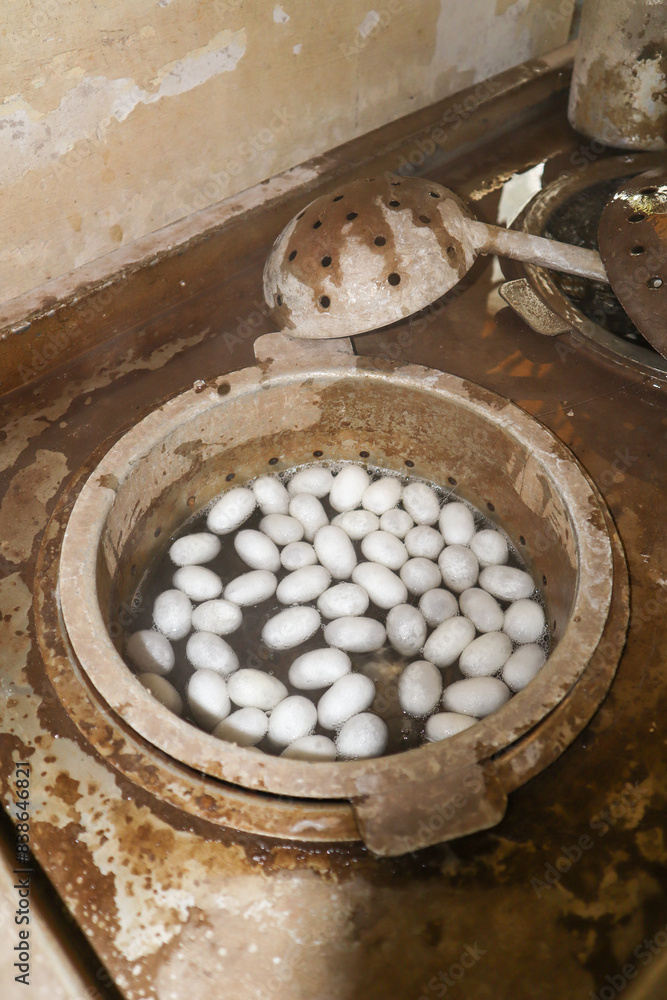 Silkworm Cocoons being boiled in traditional method to extract the ...