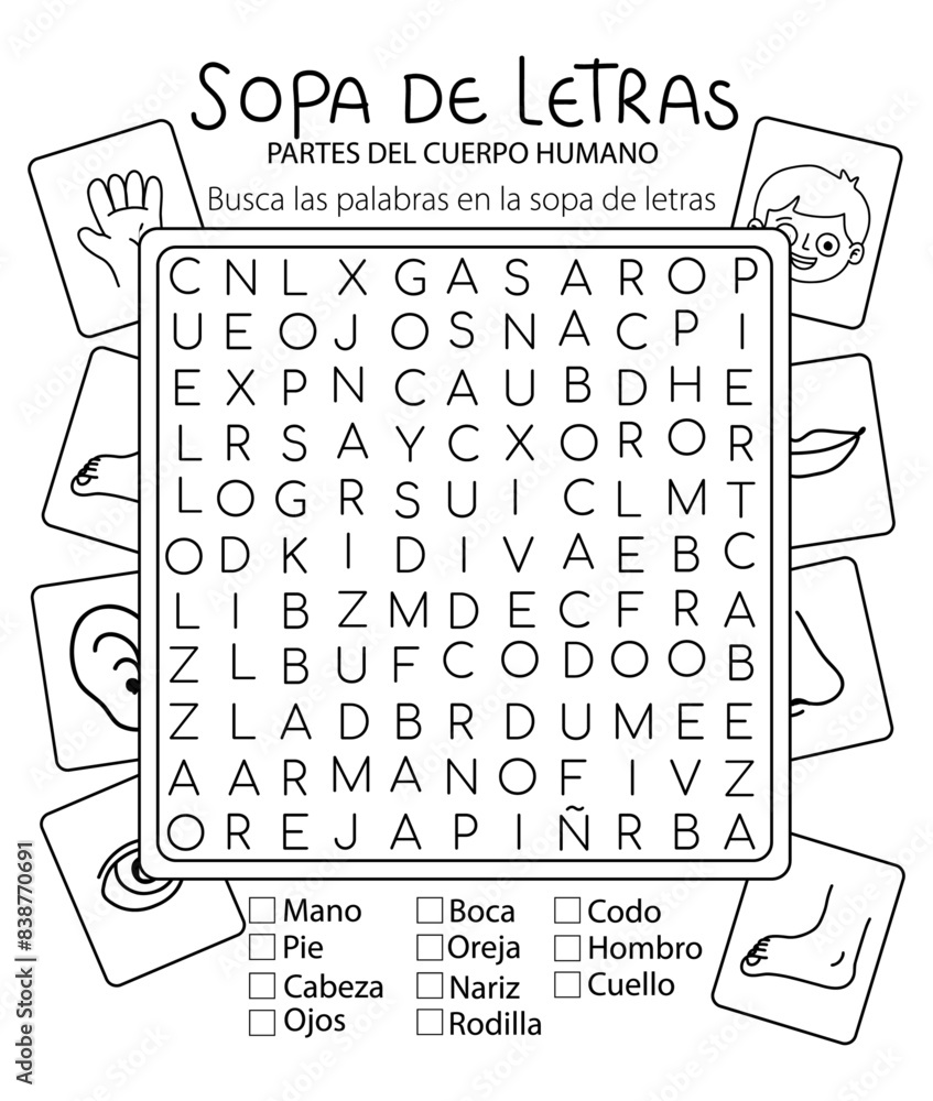sopa de letras sobre las partes del cuerpo humano, juego de búsqueda de ...