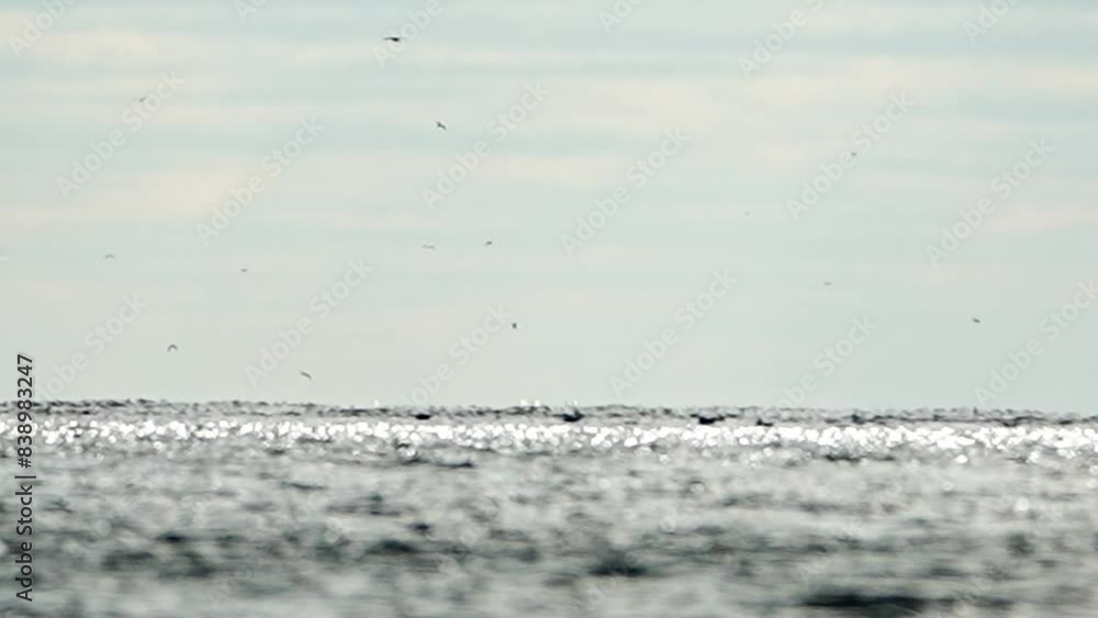 Fishing boat trawler catches fish while sailing on sea. A commercial ...