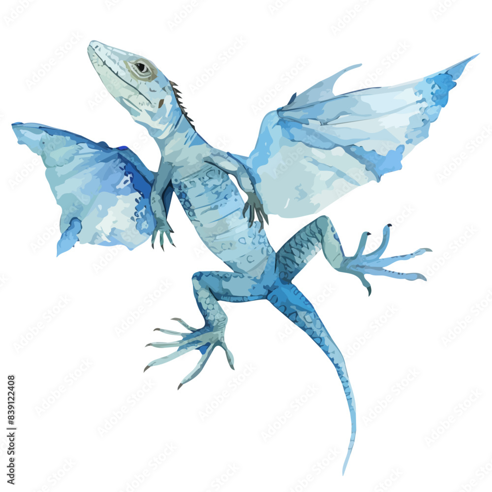 Watercolor of a flying lizard, isolated on a white background, design ...