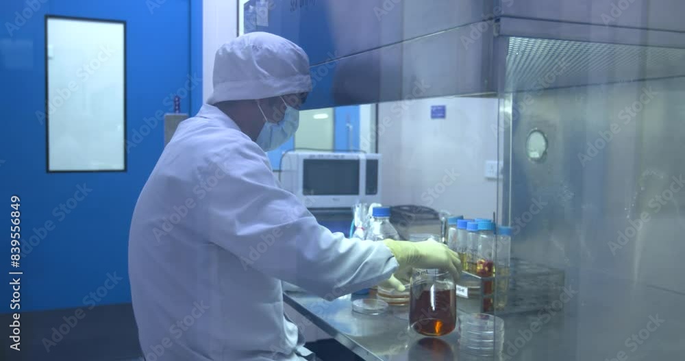 microbiologist in lab working with petridish in the microbiology ...