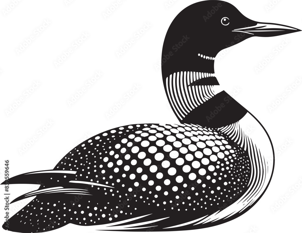 loon silhouette vector illustration, Loon silhouette vector art ...