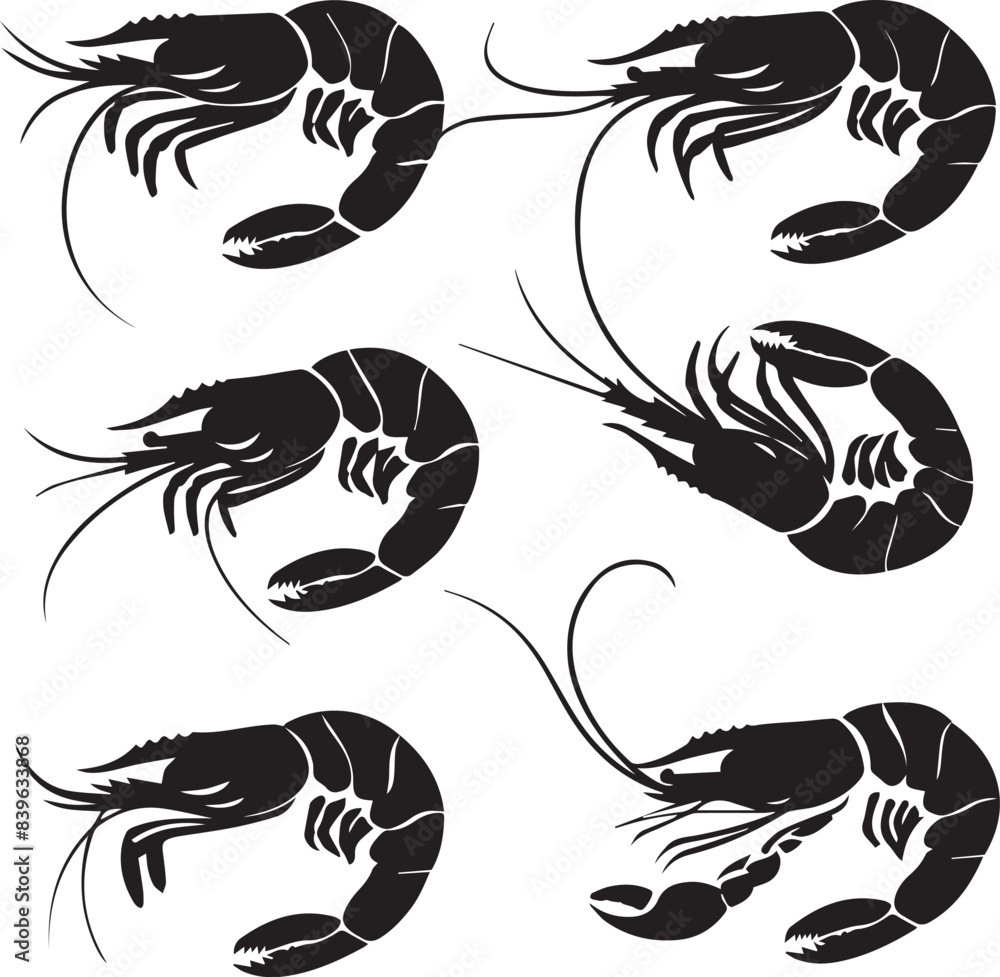 Vector illustration of a shrimp, a member of the Caridea order ...
