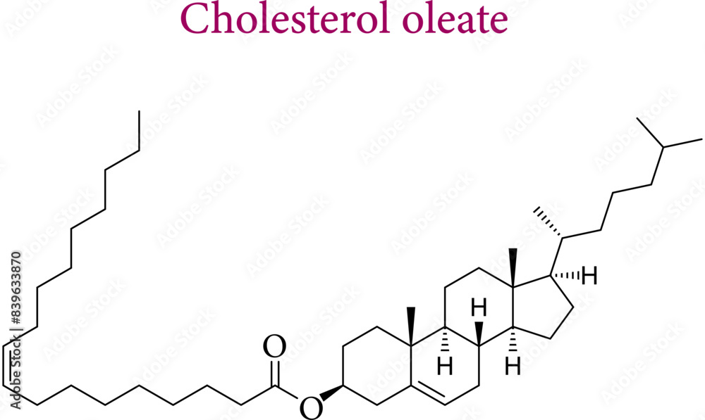 Chemical structure of cholesterol oleate. Vector illustration Stock ...