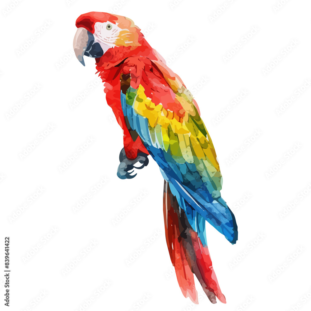Watercolor drawing clipart of a parrot, isolated on a white background ...