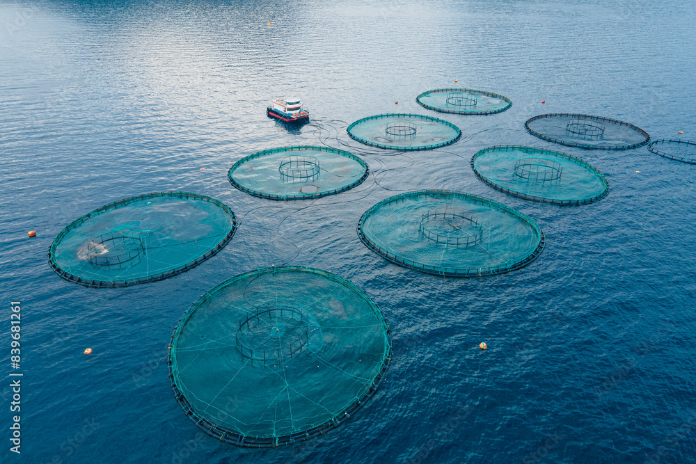 Offshore aquaculture in floating fish farming cages of fish farm in ...