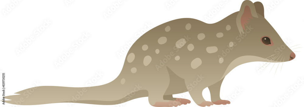 Color vector illustration of spotted Australian tiger quoll side view ...
