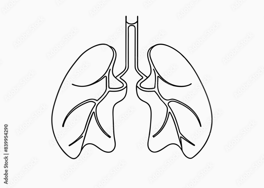 Continuous one line drawing of human organ - Lungs. Lungs outline ...