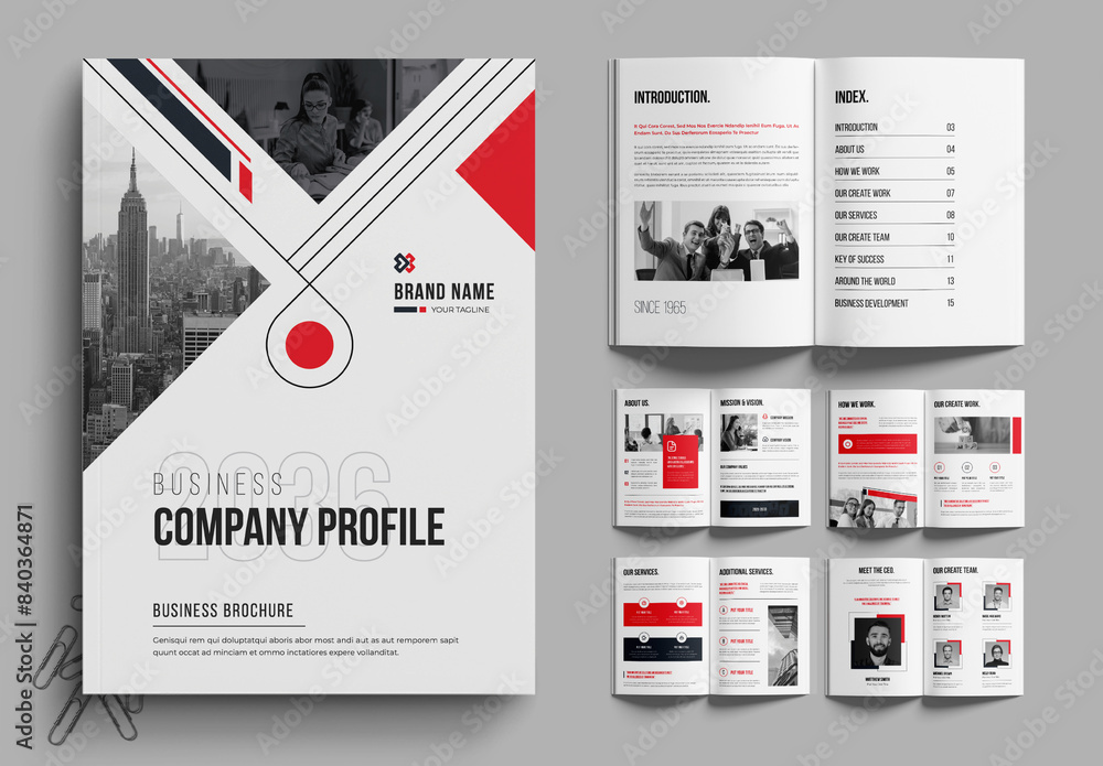 Company Profile Design Layout Stock Template | Adobe Stock