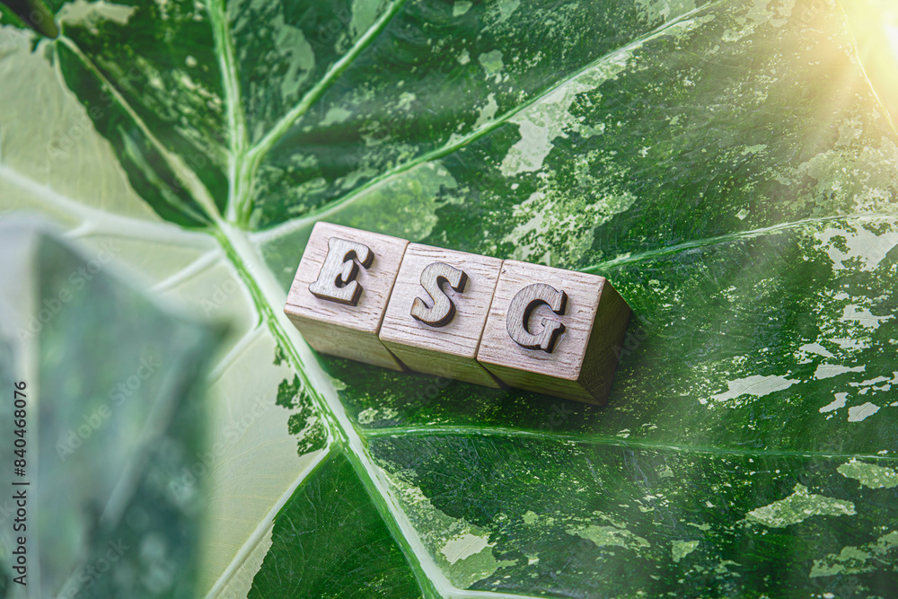 Wooden cube with text "ESG" background beautiful natural greenery of ...