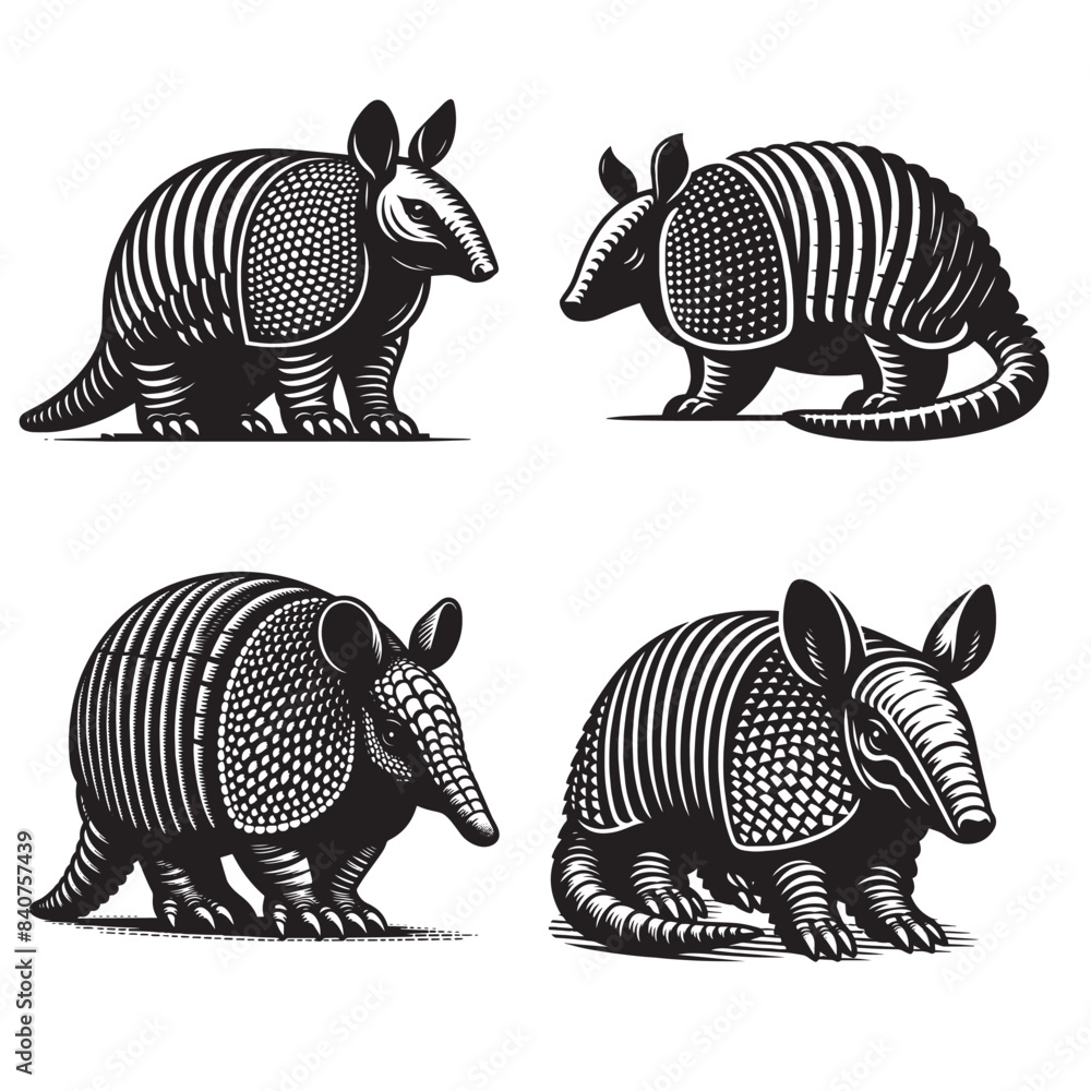 Vetor de Armadillo Silhouette Vector in Black and White, Armadillo ...