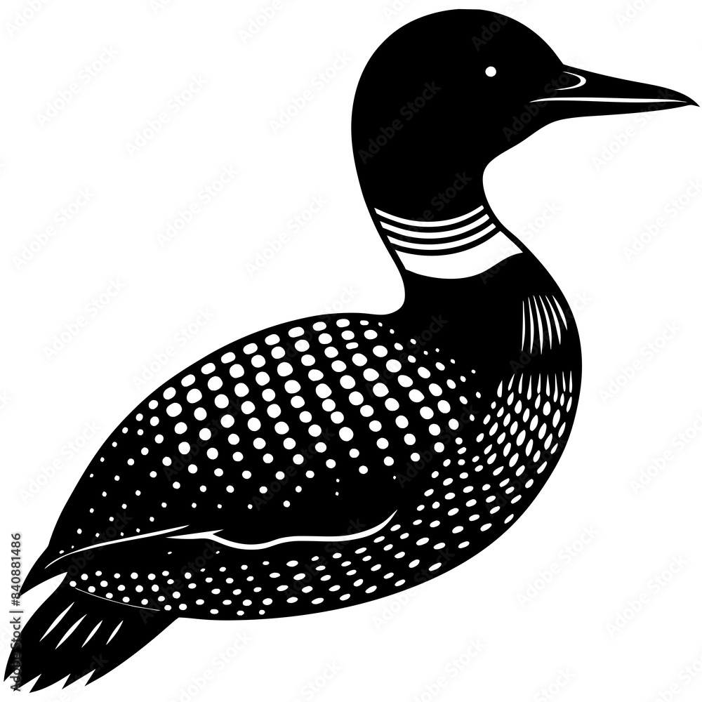 loon silhouette vector illustration, white background Stock Vector ...