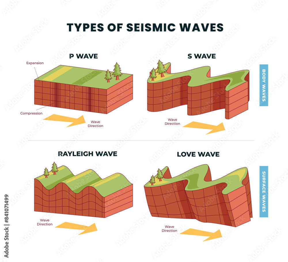 Different Types Of Seismic Waves As Earth Movement In Earthquake