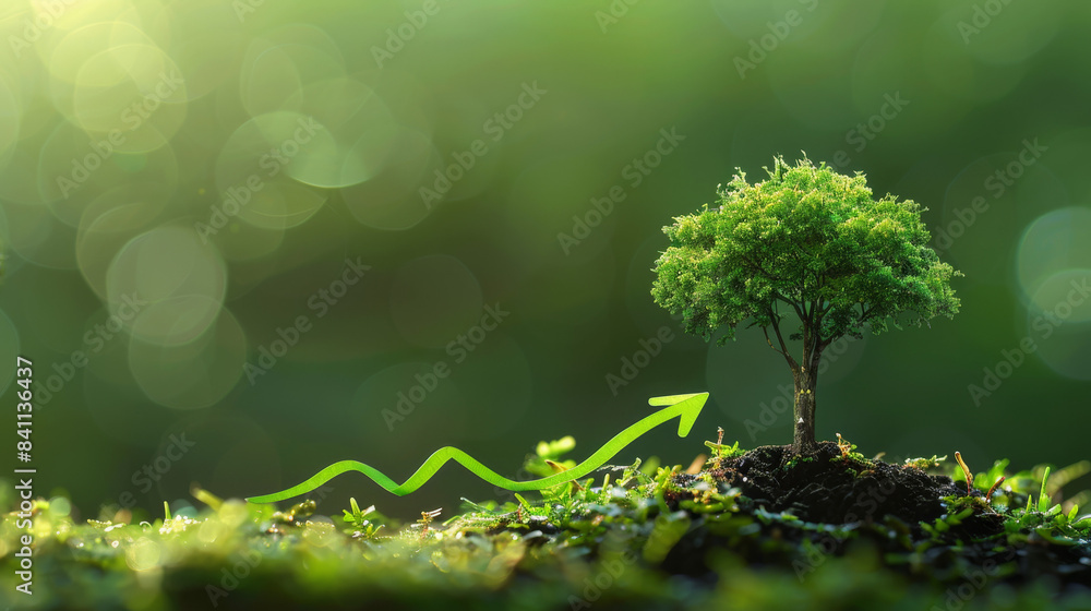 The growing tree with an arrow pointing up on a green background for ...