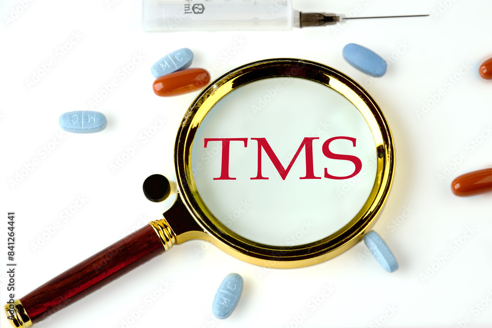 TMS transportation management system. Planning and coordination of ...