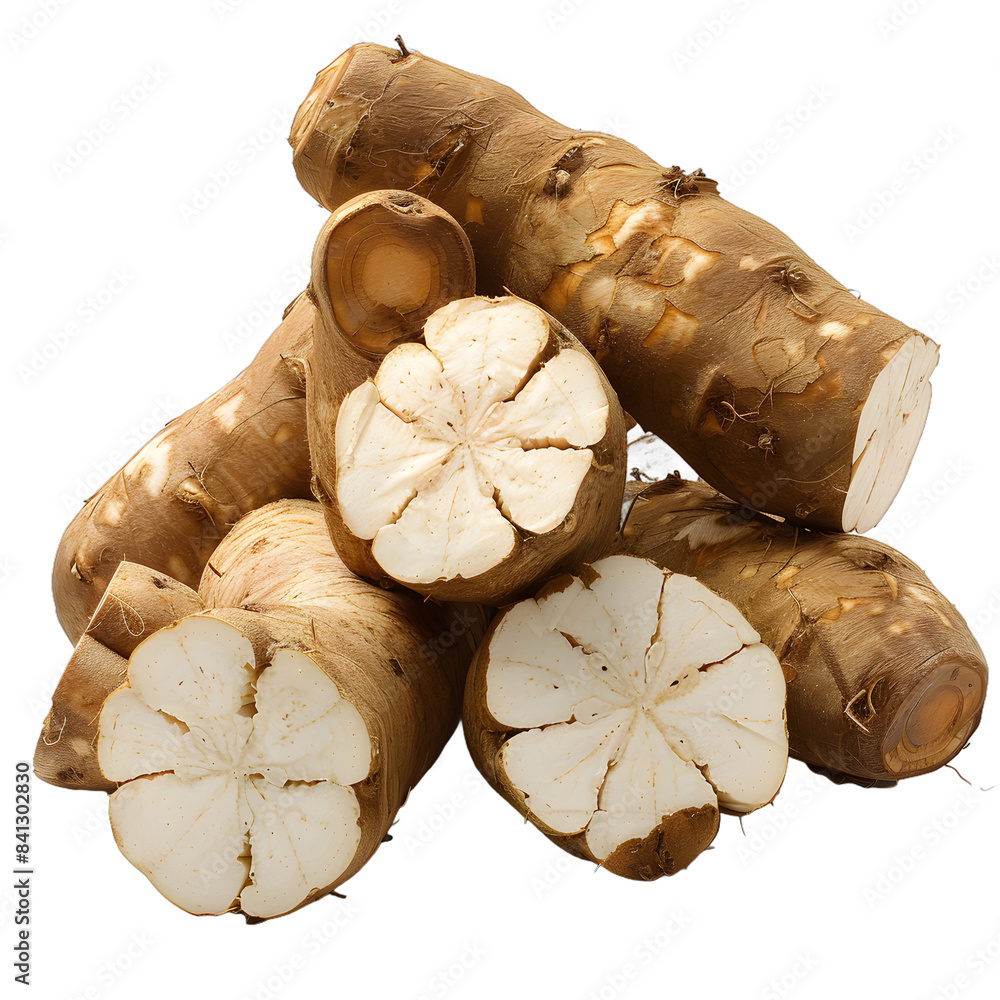 [Transparent Background PNG]Cross-section of kudzu root Stock ...