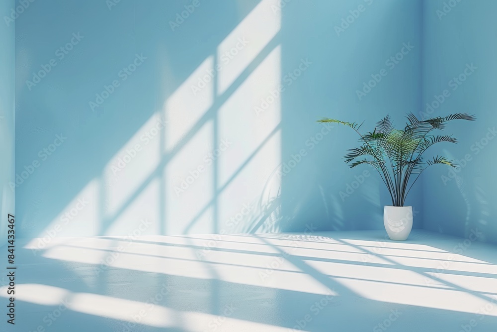 Featuring a blue wall with beautiful highlights of light and shadow ...