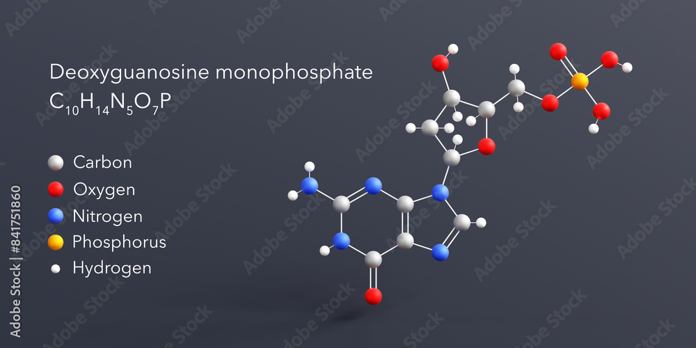 deoxyguanosine monophosphate molecule 3d rendering, flat molecular ...