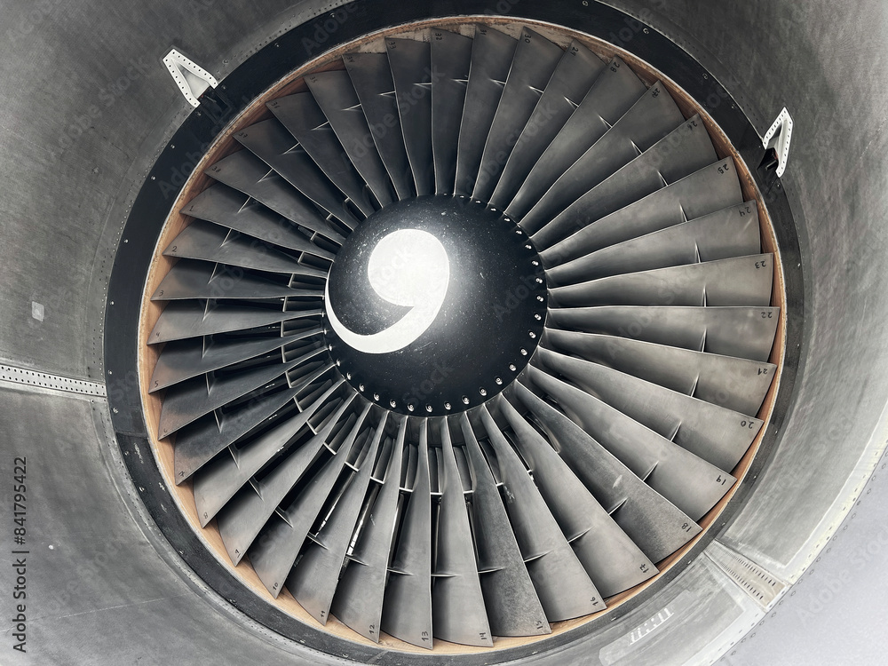 Delta Airlines Boeing 767-300 Aircraft Engine Fan Blades Pratt ...