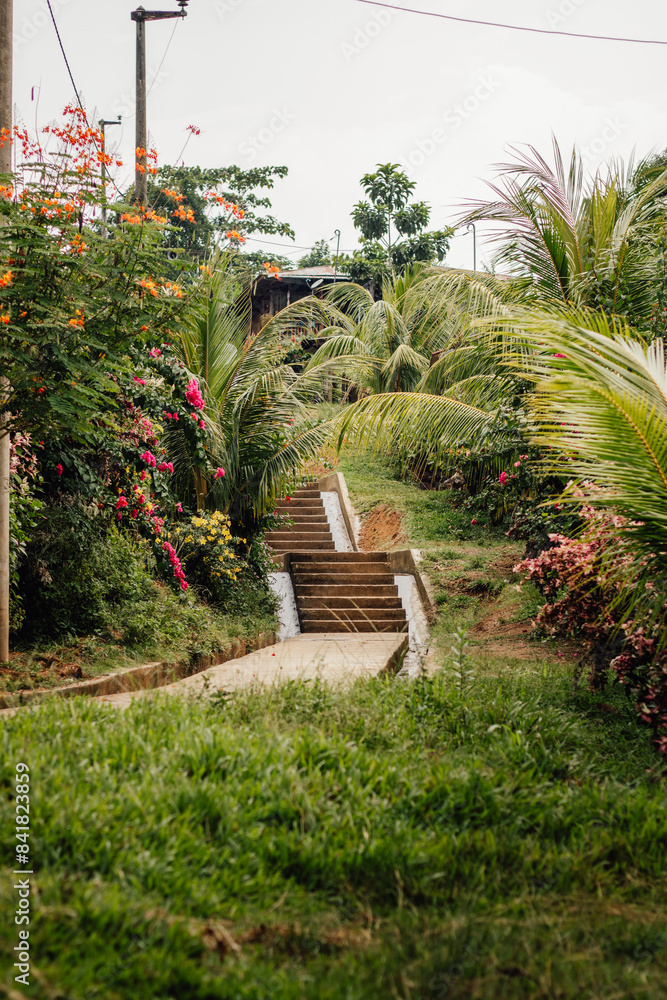 Escaleras en la vereda peatonal de la comunidad del Lago Cuipari, en el ...