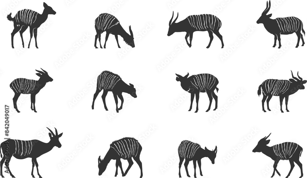 Bongo animal silhouette, Bongo silhouettes, Bongo svg, Bongo animal ...