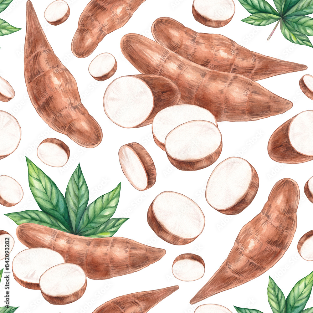 Watercolor Euphorbiaceae, cassava, cassava, yuca, balinga, mogo ...