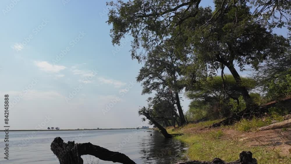 Chobe River At Chobe National Park In Kasane Botswana. African Animals ...