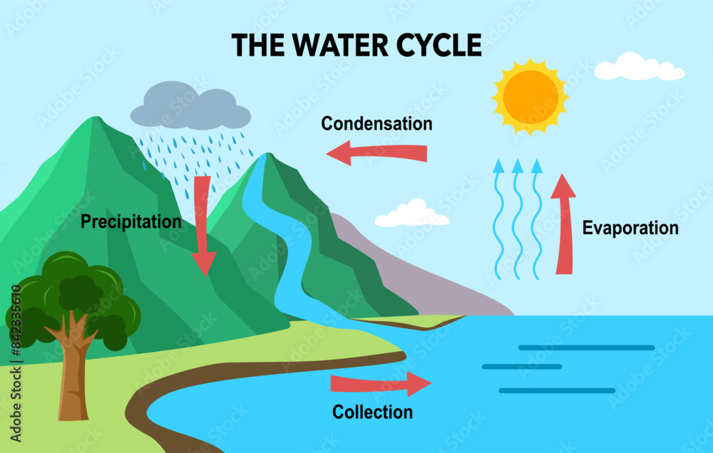 Water cycle diagram with simple rain circulation explanation concept ...