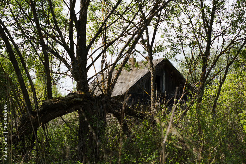 Ruins of a traditional village house. The old central residential ...