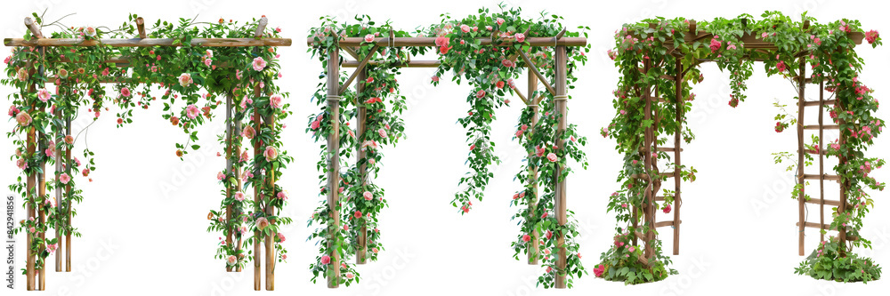 Set of A sunlit pergola with weathered wooden trellises"A pergola with ...
