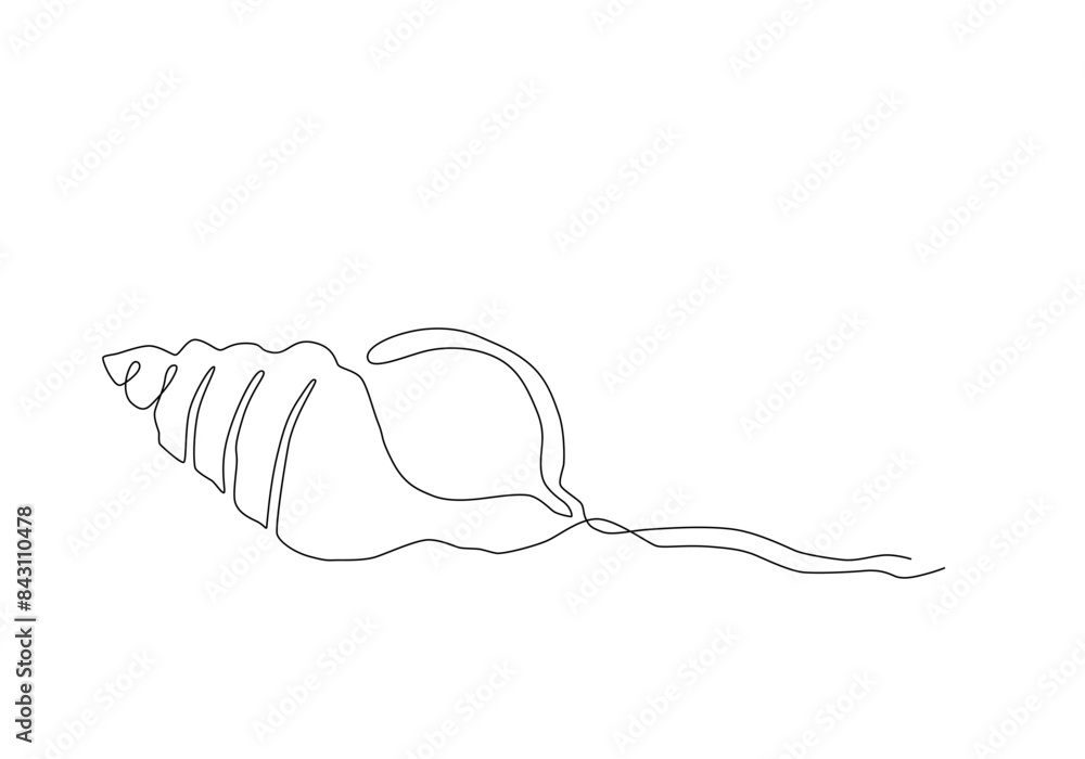 Continuous one line drawing of sea shell isolated element. Vector ...