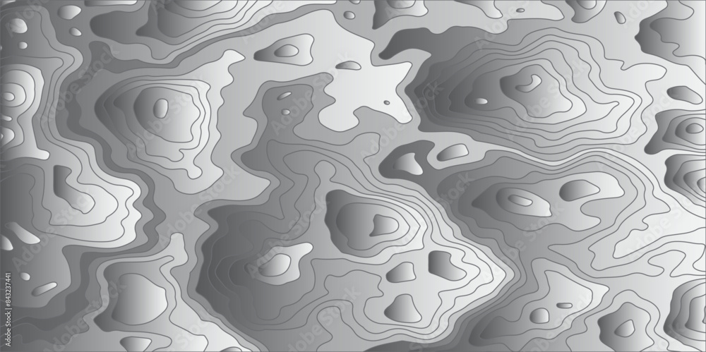 Topographic map background geographic line map with elevation ...