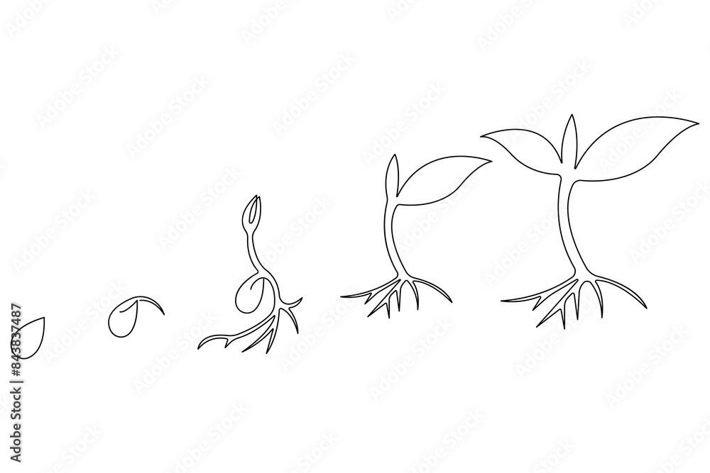 Plant growing continuous one line art drawing of tree plant outline ...