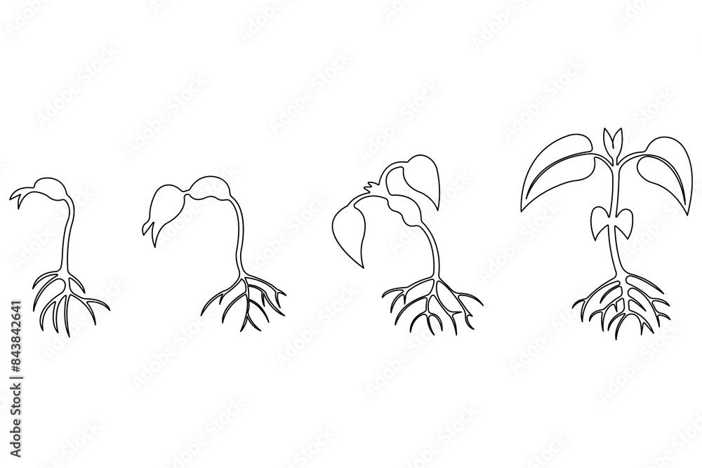 Continuous single line art drawing of plant growth processing from seed ...