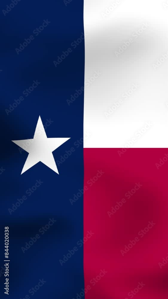 Vertical, portrait, video waving national flag of State Texas. Smooth ...